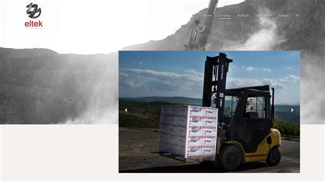 Eltek Exis Business Software Web Consulting