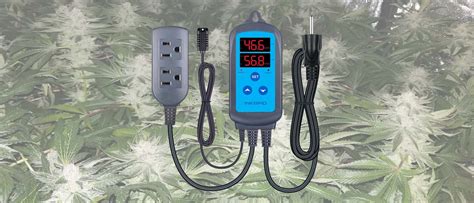Inkbird Humidity Controller Review And Usage Instructions Happy Pot Farmer