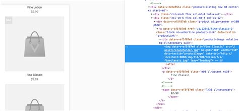 Image Doesn T Display For Products Issue Vuestorefront Vue Storefront Github