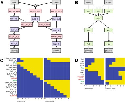 comparison of the bipartite and the classical boolean approaches a