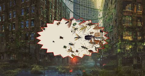 ကမ္ဘာပေါ်မှာ အင်းစက်မျိုးနွယ် တစ်ကောင်မှ မရှိတော့ရင် ကြုံတွေ့လာနိုင်မယ့