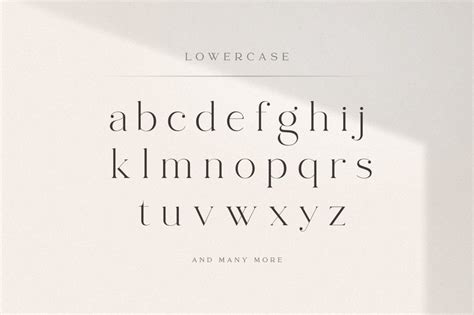 Abigail Ligature Font Elegant Cursive Font Otf Ttf Woff Etsy