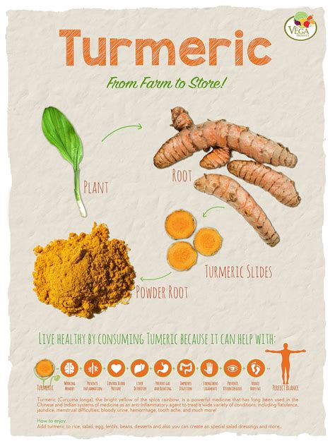 Turmeric A Golden Spice With Health Benefits