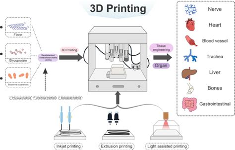 Recent Advances In The Application Of 3d Printing Bioinks Based On Decellularized Extracellular