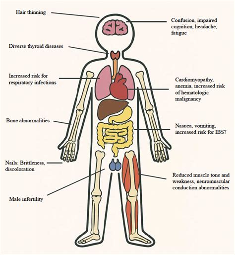 Selenium A Micronutrientwith A Macro Impact Practical Gastro