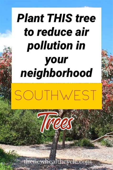 5 Top Pick Trees For Southwest Suburbs Help Reduce Pollution Pollution Trees To Plant Ways