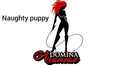 Domina Araneae Domination Zone