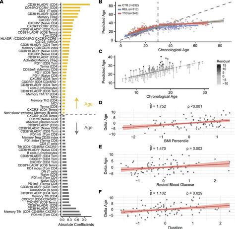 Jci Insight Human Immune Phenotyping Reveals Accelerated Aging In Type 1 Diabetes