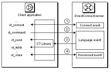 CT Library Client API Processing