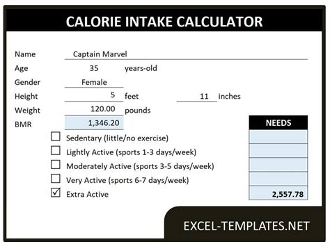 Calorie Counter Spreadsheet Calorie Counter Template