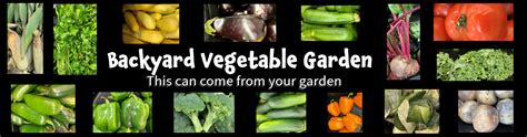 Backyard Vegetable Garden