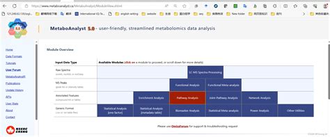 代谢组学富集分析kegg 功能富集metaboanalystr（r包 Metabosignal ）metaboanalyst富集分析 Csdn博客