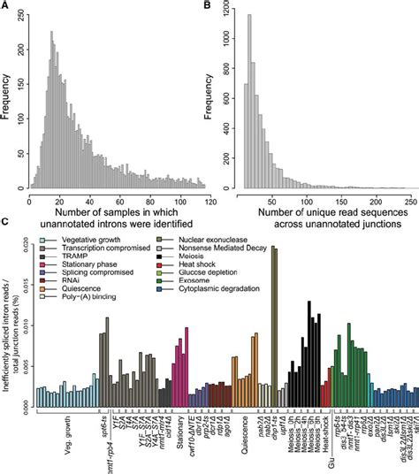 Distribution Of Novel Introns With Respect To Samples In Which They Download Scientific Diagram