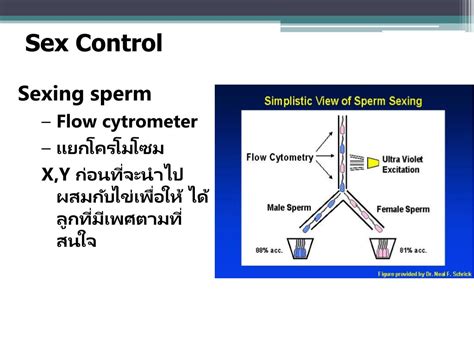 Ppt Application Of Biotechnology In Animal Breeding Powerpoint