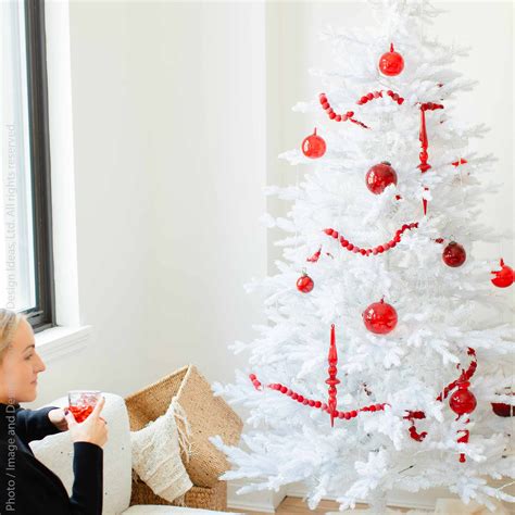 Tree Triming — Design Ideas