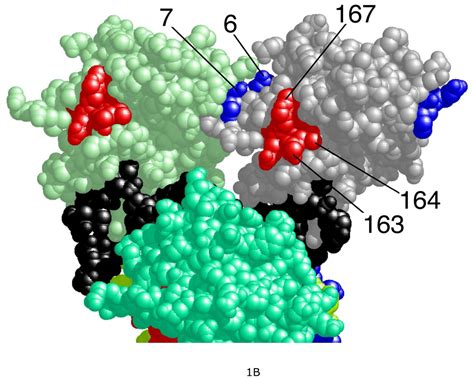 Mutations That Probe The Cooperative Assembly Of O⁶ Alkylguanine Dna
