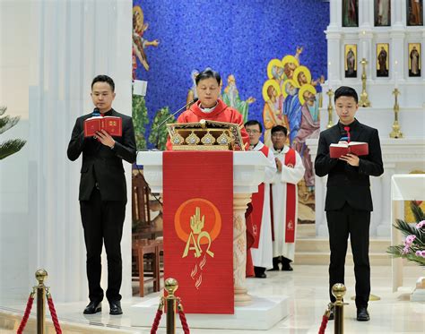 圣枝主日弥撒讲道 在天主内不再孤独 万有真原