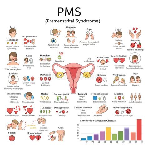Diagram Illustrating Symptoms And Phases Of Premenstrual Syndrome Pms