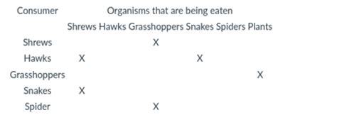 Ap Flashcards Quizlet