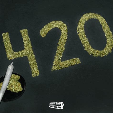 Weekend Stay High  By High End Graphics Find And Share On Giphy