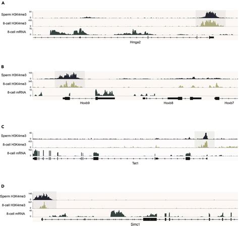 Representative Examples Of Obtained Sequencing Datasets A D Download Scientific Diagram