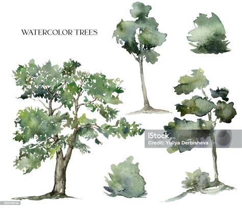 추상나무와 덤불의 수채화 자연 세트 흰색 배경에 고립 된 손으로 그린 녹지 그림 디자인 인쇄 직물 또는 배경용 0명에 대한 스톡 벡터 아트 및 기타 이미지 Istock