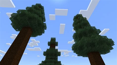 Spruce Trees Minecraft
