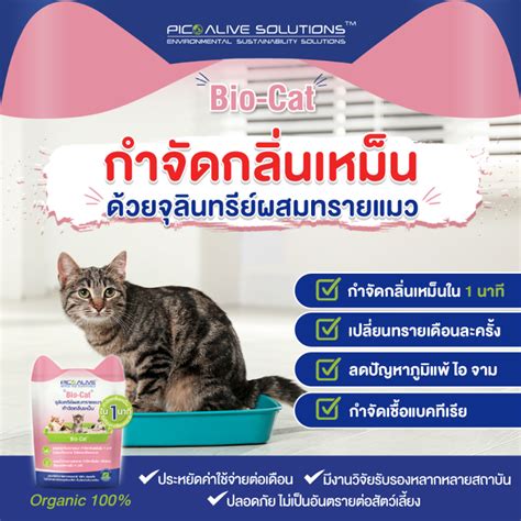 🐈bio Cat🐺♨️จุลินทรีย์โรยทรายแมว ดับกลิ่นภายใน 1 นาที ☘️ธรรมชาติ💯 🚿 Th