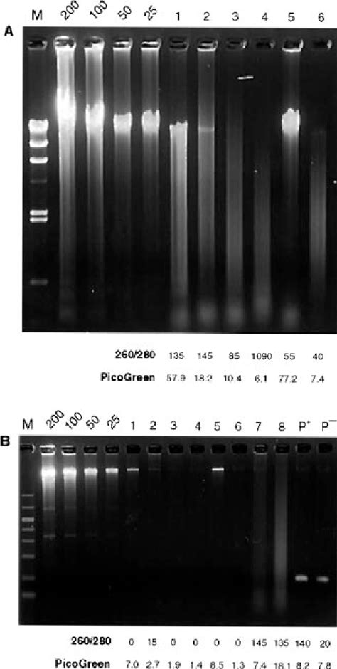PicoGreen Semantic Scholar