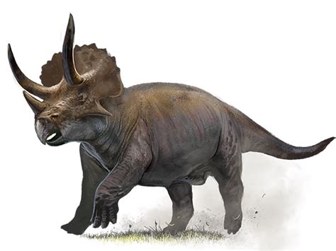 Triceratops Monsters Archives Of Nethys Pathfinder 2nd Edition