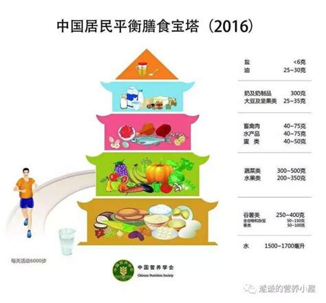 膳食宝塔图2016 膳食宝塔2016 膳食宝塔 大山谷图库