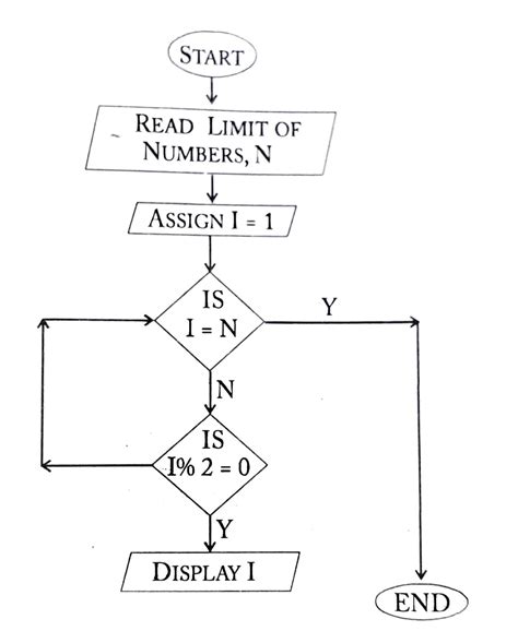 Class 9 Computer Science Chapter 7 Coding And Its Importance Dev Library