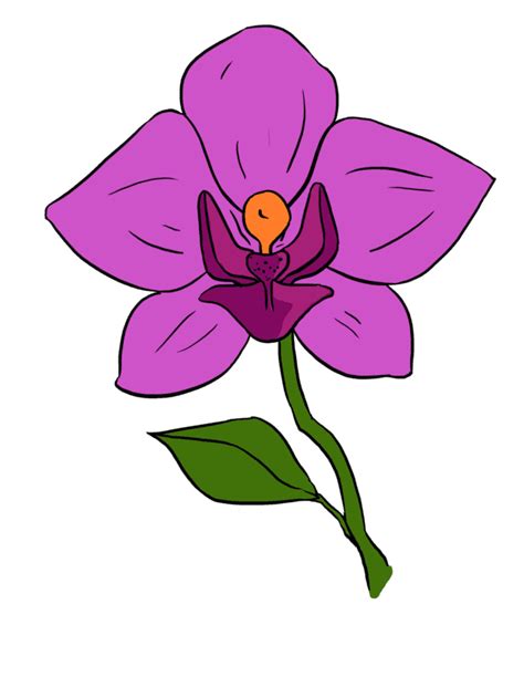 Easy Orchid Step By Step Tutorial Easy Drawing Guides