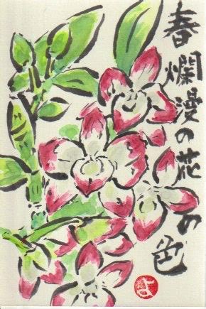 児島絵日記 白い花とデンドロビューム