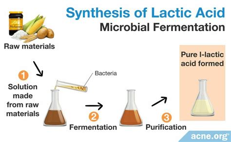 What Is The Chemical Structure Of Lactic Acid And Lactate And How Is Lactic Acid Made