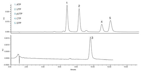 Isocratic Separation Of Rna Nucleotide Triphosphates Including Pseudouridine Using An Atlantis