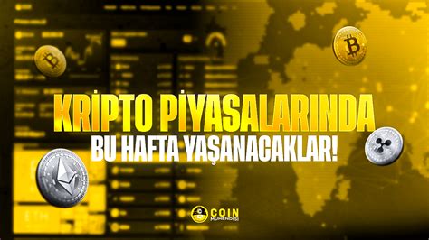 Türkiyede Bilinen En İyi Kripto Fenomenleri Coin Mühendisi