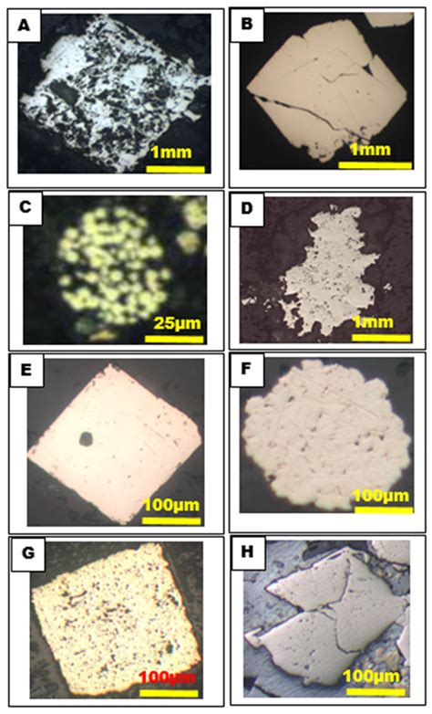 Photomicrographs Of Pyrite Crystals From Selected Formations A Download Scientific Diagram