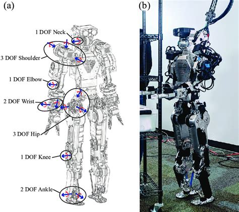 Draco 3 Humanoid A Wireframe Of Draco 3 Showing The Degrees Of Download Scientific Diagram