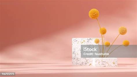 흰색 대리석 블록 연단은 풍경 노란색 미모사와 분홍색 벽 렌더링 3d 빈 공간 미모사에 대한 스톡 사진 및 기타 이미지 미모사 분홍 0명 Istock
