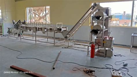 Automatic Mango Pulp Processing Plant 200 To 5000 Kghr At Rs 3500000