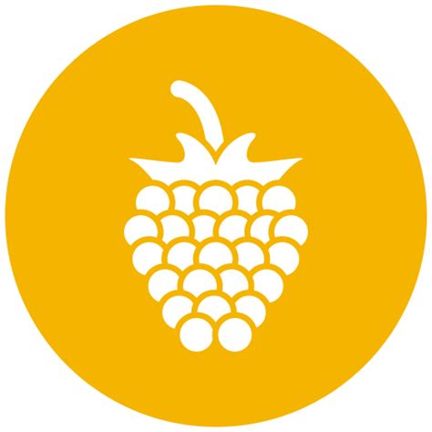 Raspberry Generic Mixed Icon
