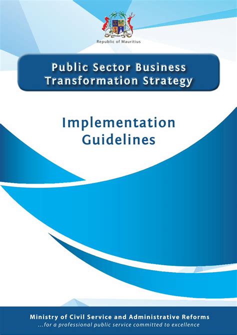 Pdf Implementation Guidelines Mauritius Dokumentips