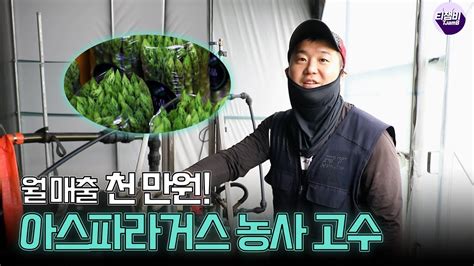 월매출 천 만원 아스파라거스 농사 고수｜네모세모 Youtube