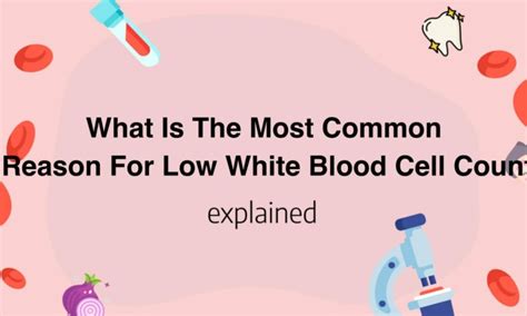 Monocytes Low High Absolute Count And Normal Range Causes