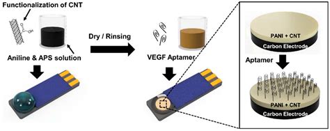Biosensors Free Full Text Carbon Nanotube And Its Derived Nanomaterials Based High