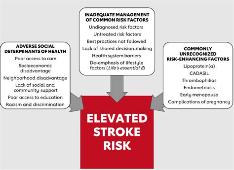 2024 Guideline For The Primary Prevention Of Stroke A Guideline From