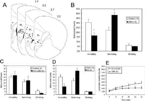 Outcome Of Ventral Medial Prefrontal Cortex Vmpfc Deep Brain Download Scientific Diagram