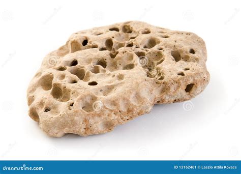 Pumice Stock Image Image Of Surface Pumice White Pitted 13162461