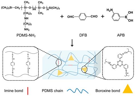 Molecules Free Full Text Self Healable And Reprocessable Silicon Elastomers Based On Imine